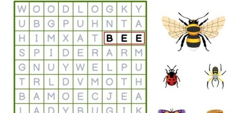 How to Find Accurate Spelling Bee Answers Quickly | SDL